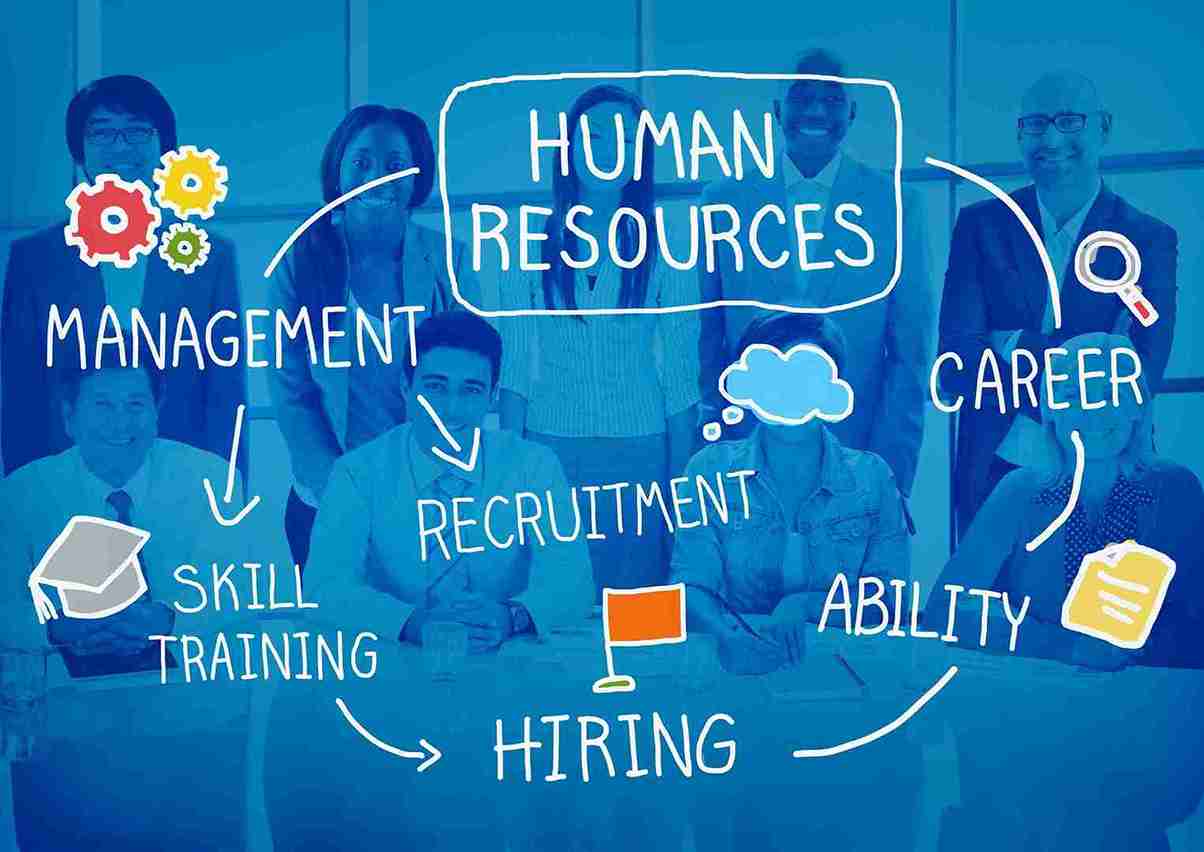 Who Is an HR Manager? Roles, Skills, Responsibilities & Career